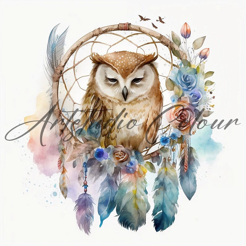 Boho Owl Clipart, 10 High Quality Jpgs, Digital Download, Watercolor ...