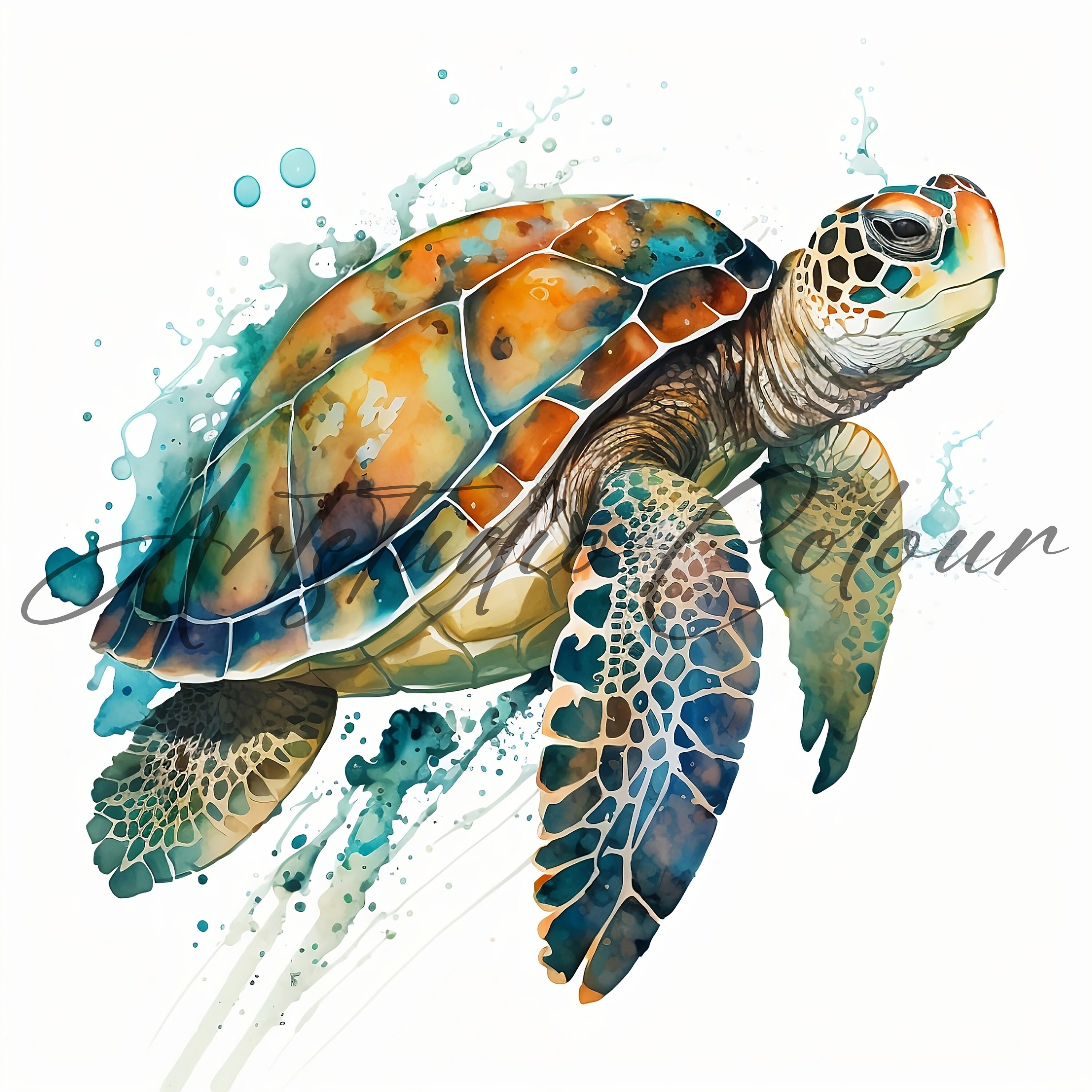 Sea Turtle Clipart 10 High Quality Jpgs Digital Download - Etsy