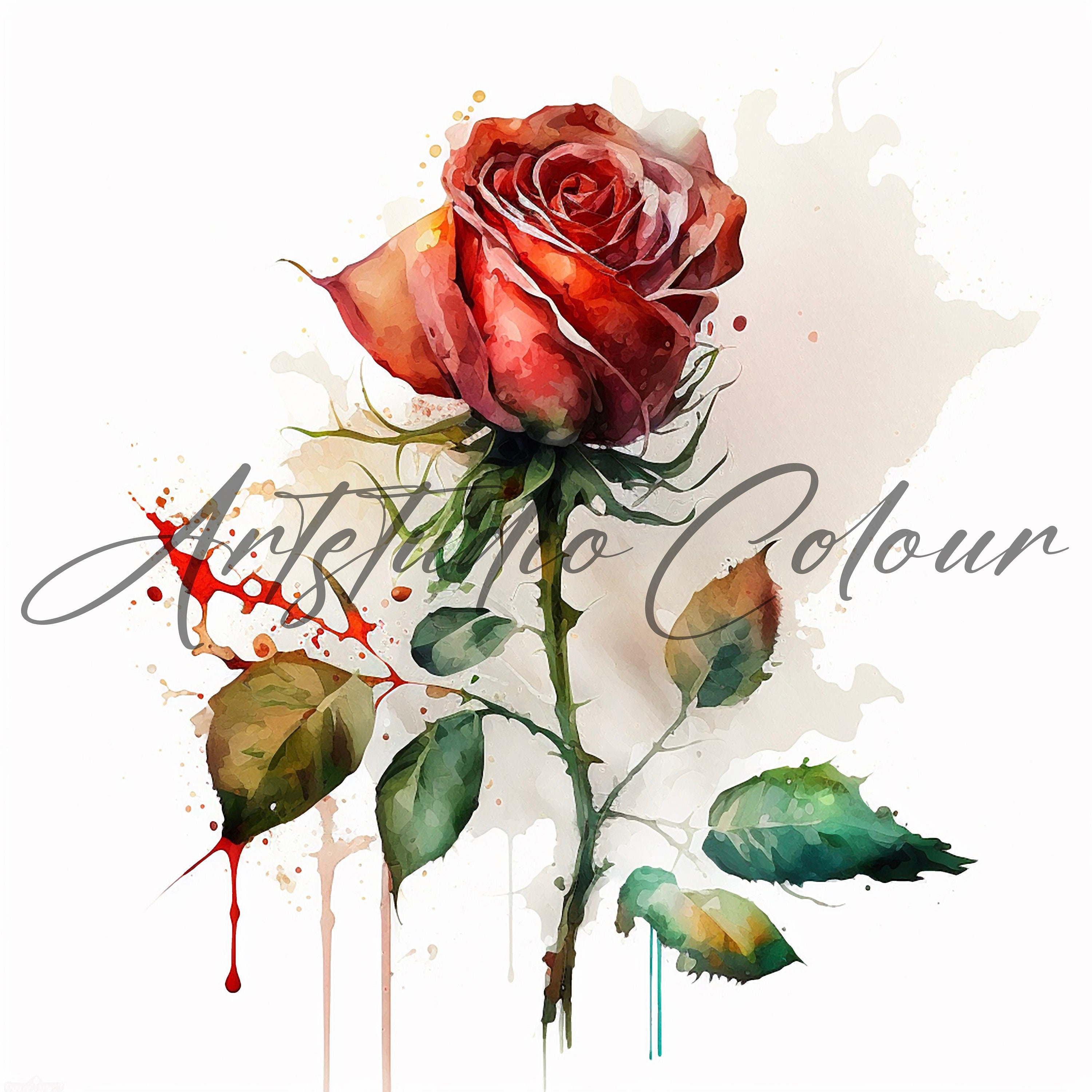 Red Rose Clipart, 10 High Quality Jpgs, Digital Download, Watercolor ...