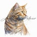 Ginger Tabby Cat Clipart, 10 High Quality Jpgs, Digital Download ...
