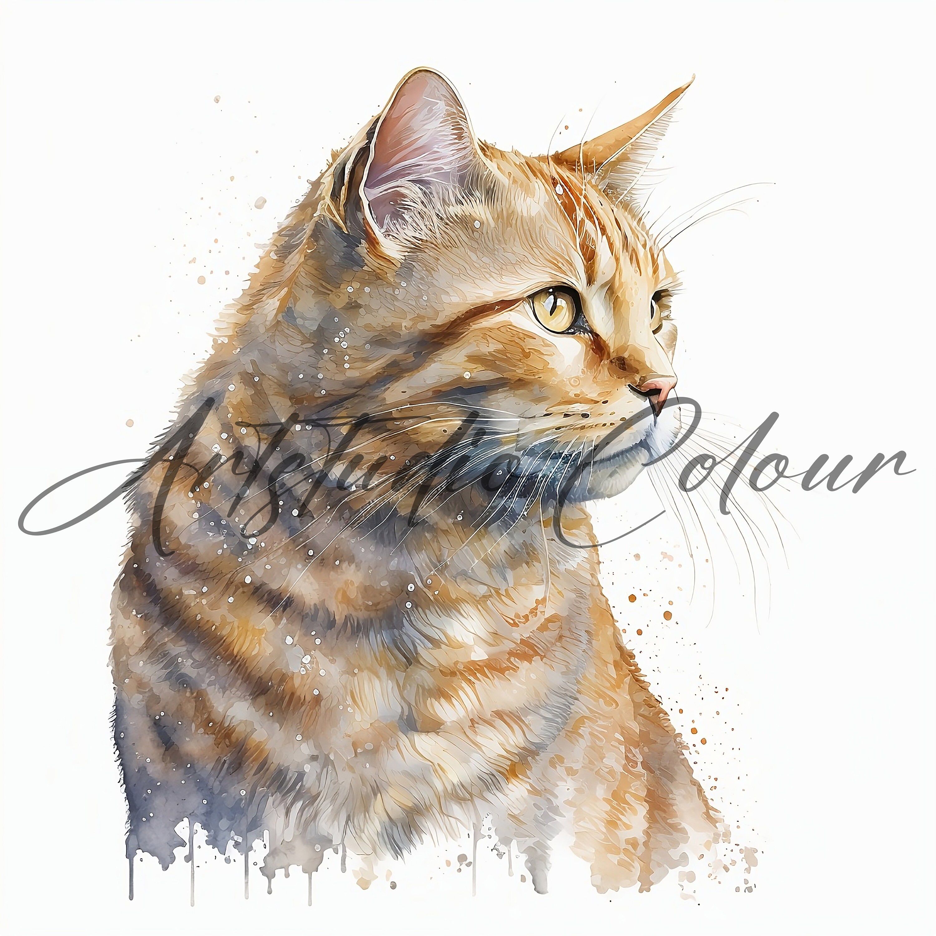 Ginger Tabby Cat Clipart, 10 High Quality Jpgs, Digital Download ...