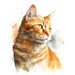 Ginger Tabby Cat Clipart, 10 High Quality Jpgs, Digital Download ...