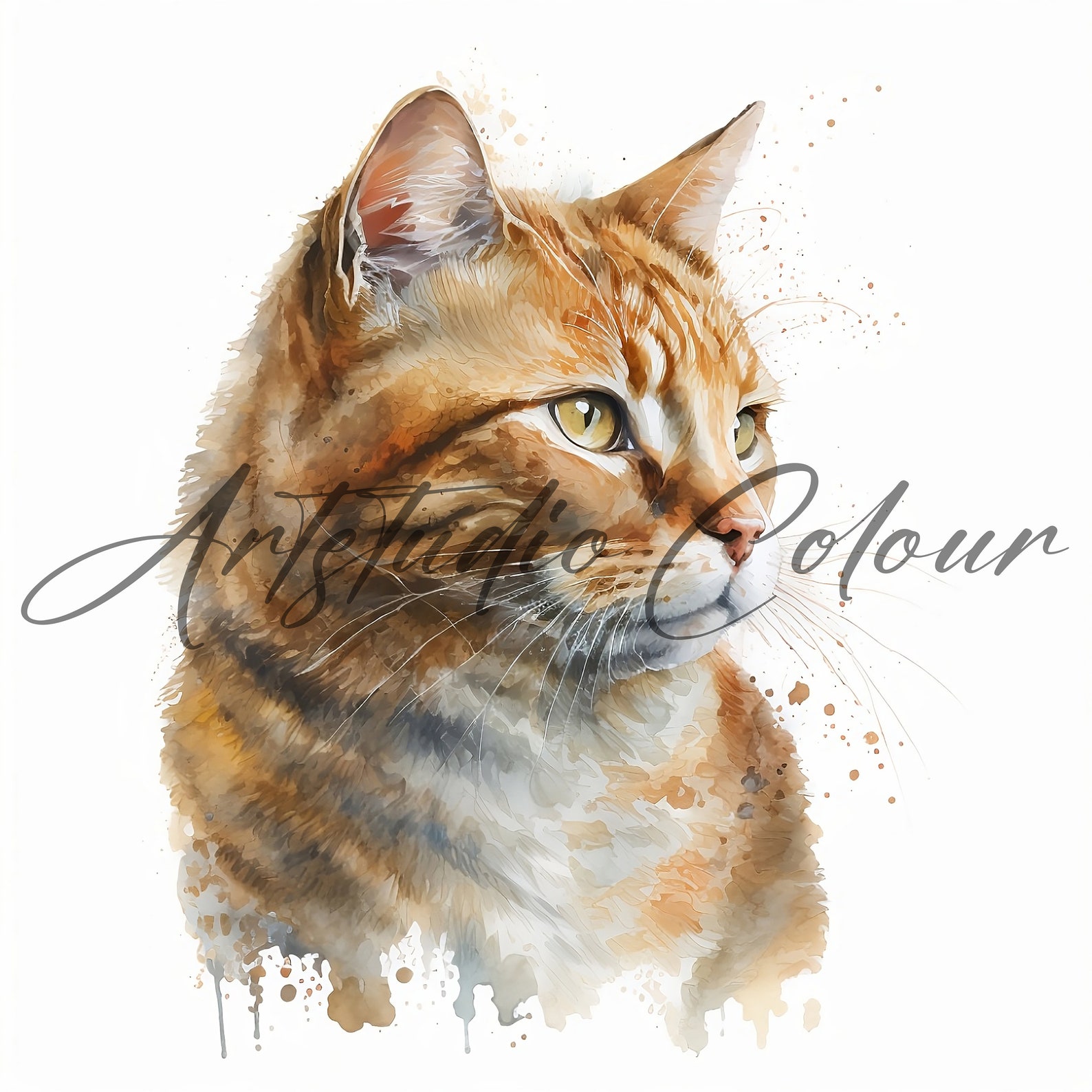 Ginger Tabby Cat Clipart, 10 High Quality Jpgs, Digital Download ...