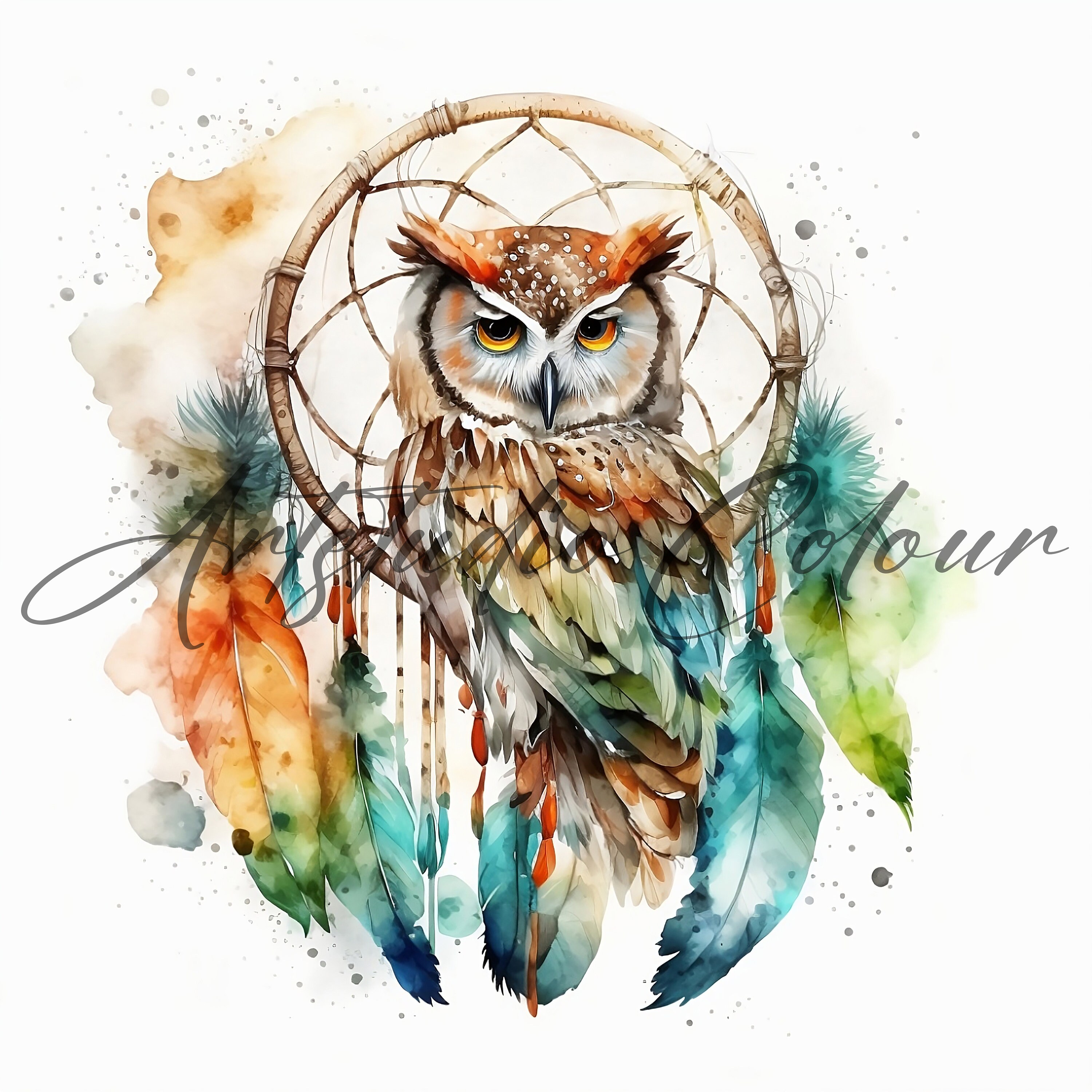 Boho Owl Clipart 10 High Quality Jpgs Digital Download - Etsy