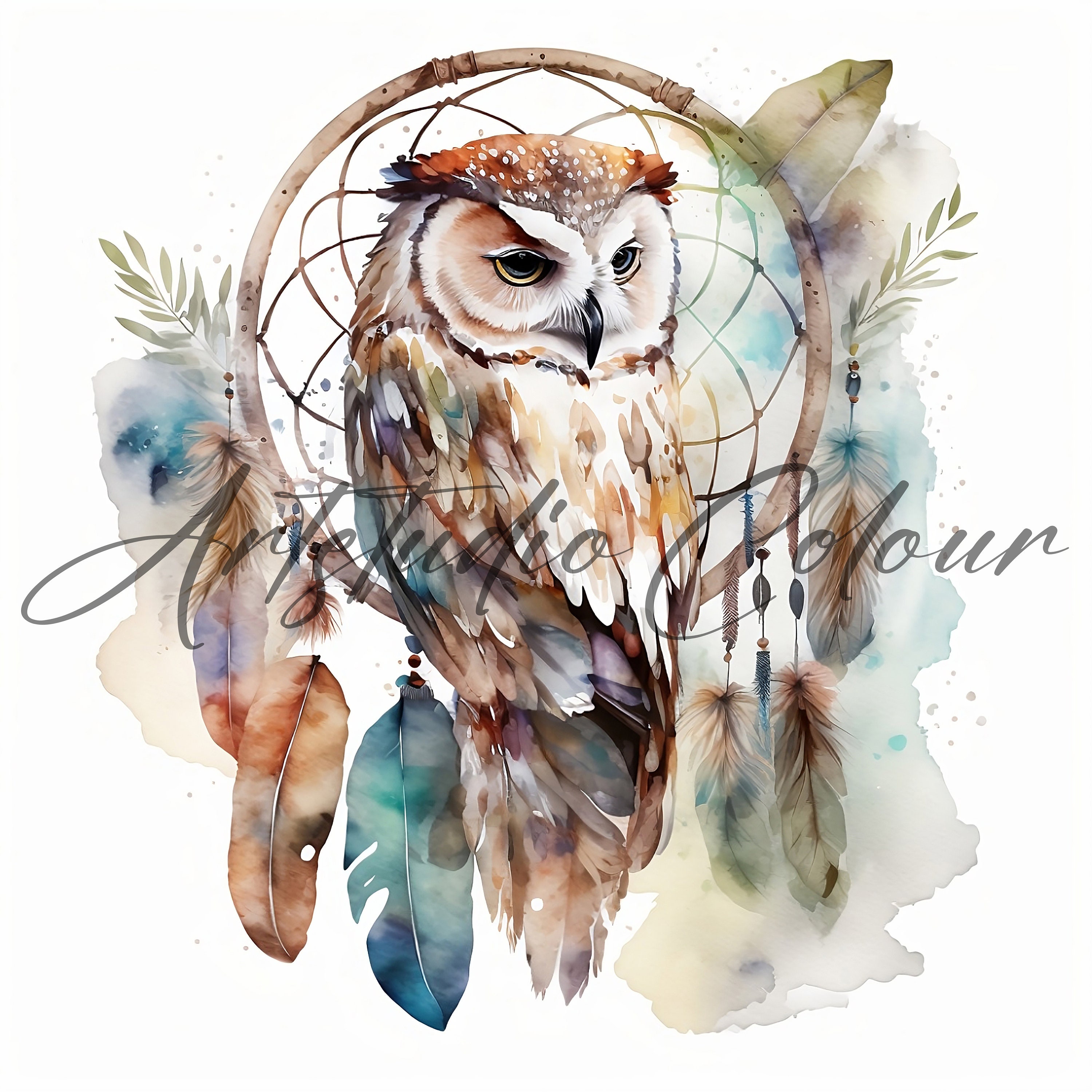 Boho Owl Clipart, 10 High Quality Jpgs, Digital Download, Watercolor ...