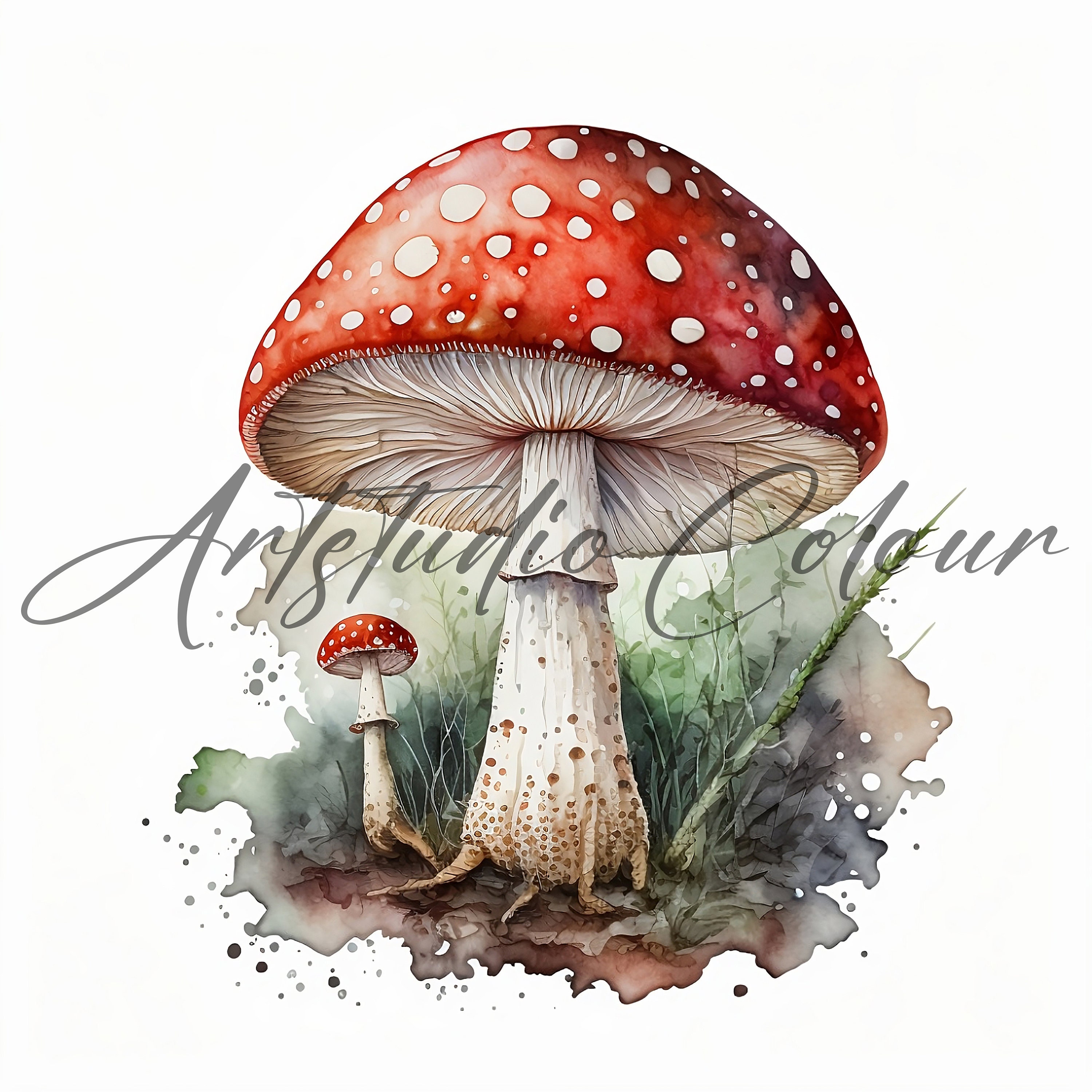 Botanical Toadstool Clipart, 10 High Quality Jpgs, Digital Download ...