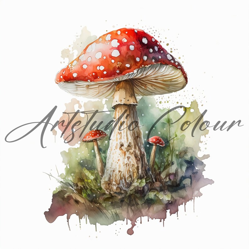 Botanical Toadstool Clipart 10 High Quality Jpgs Digital - Etsy Australia
