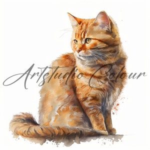 Ginger Tabby Cat Clipart, 10 High Quality Jpgs, Digital Download ...