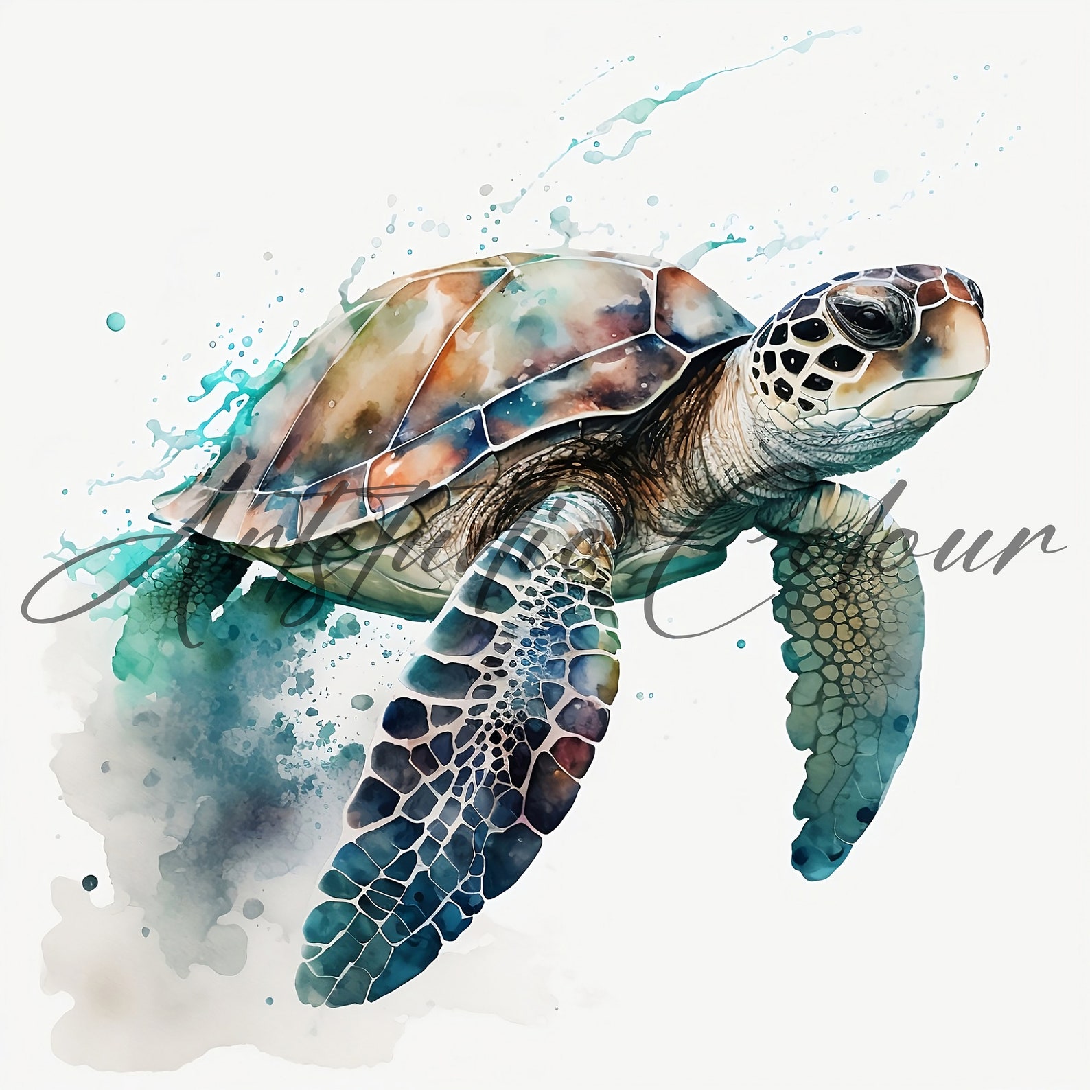 Sea Turtle Clipart 10 High Quality Jpgs Digital Download - Etsy