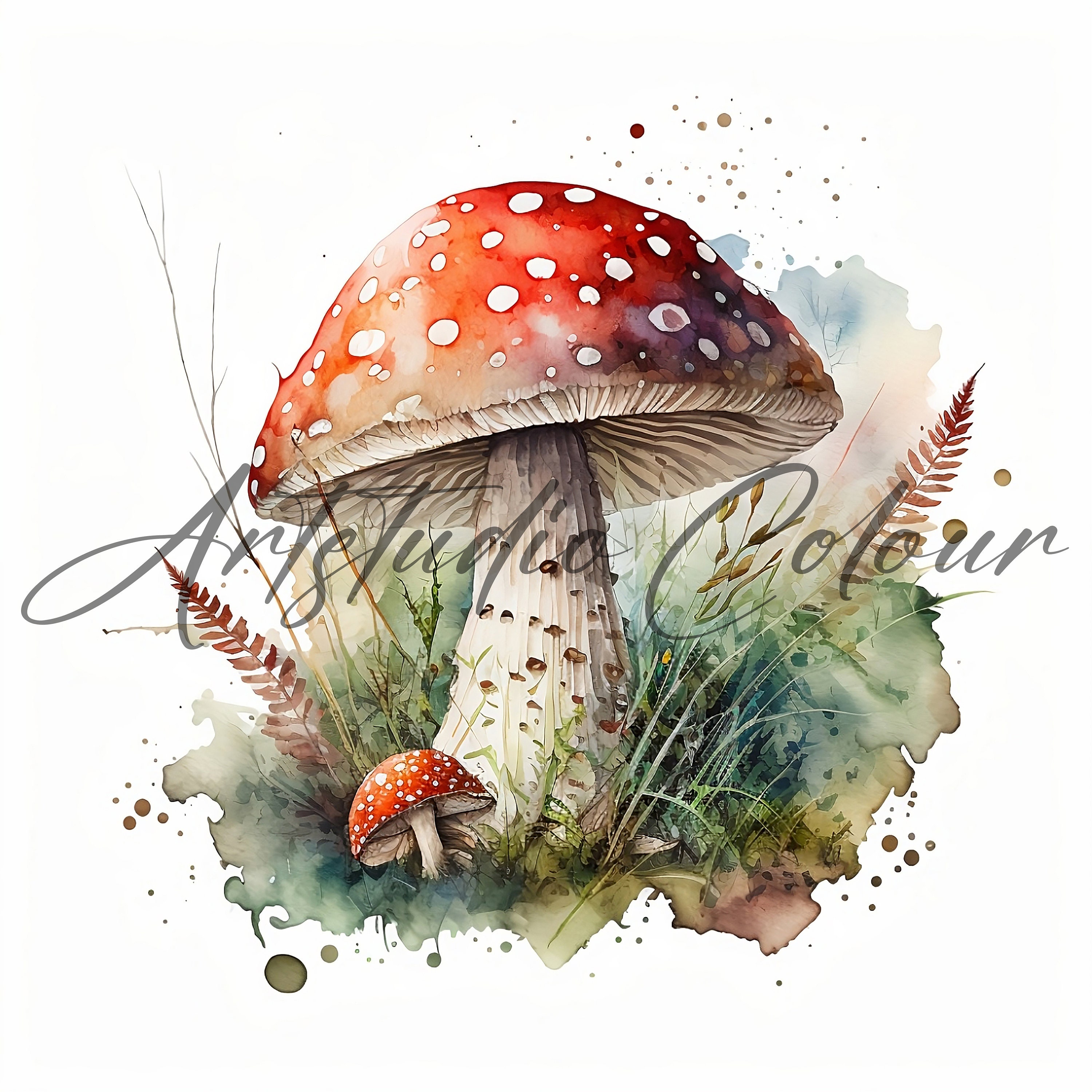 Botanical Toadstool Clipart 10 High Quality Jpgs Digital - Etsy Australia