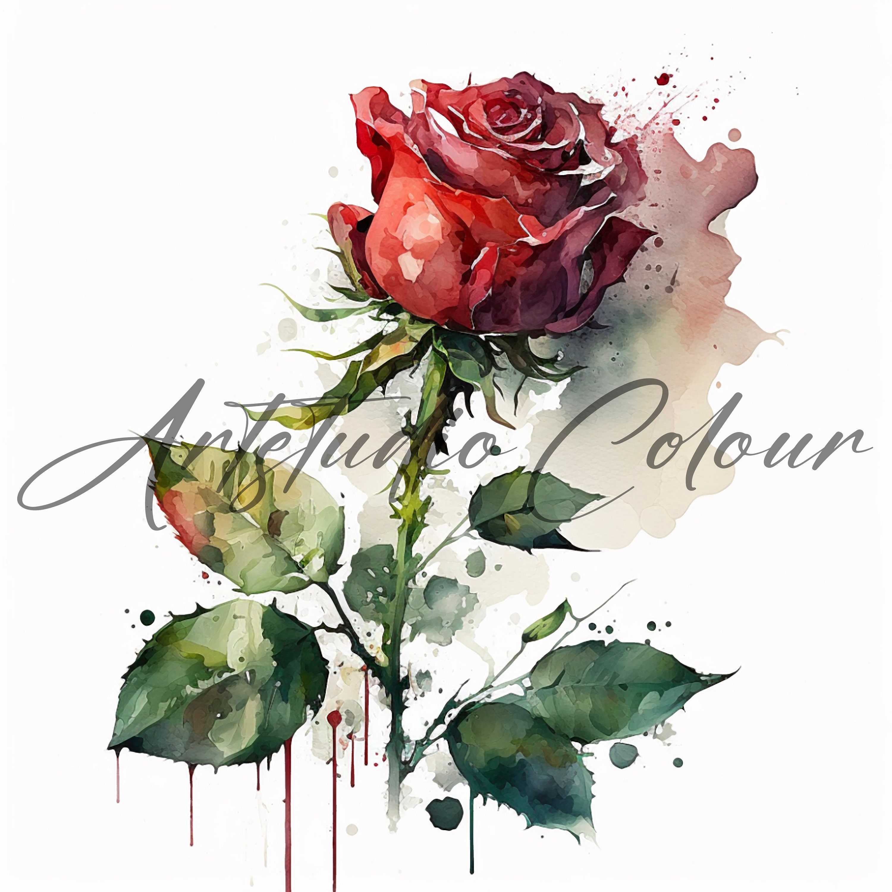 Red Rose Clipart, 10 High Quality Jpgs, Digital Download, Watercolor ...