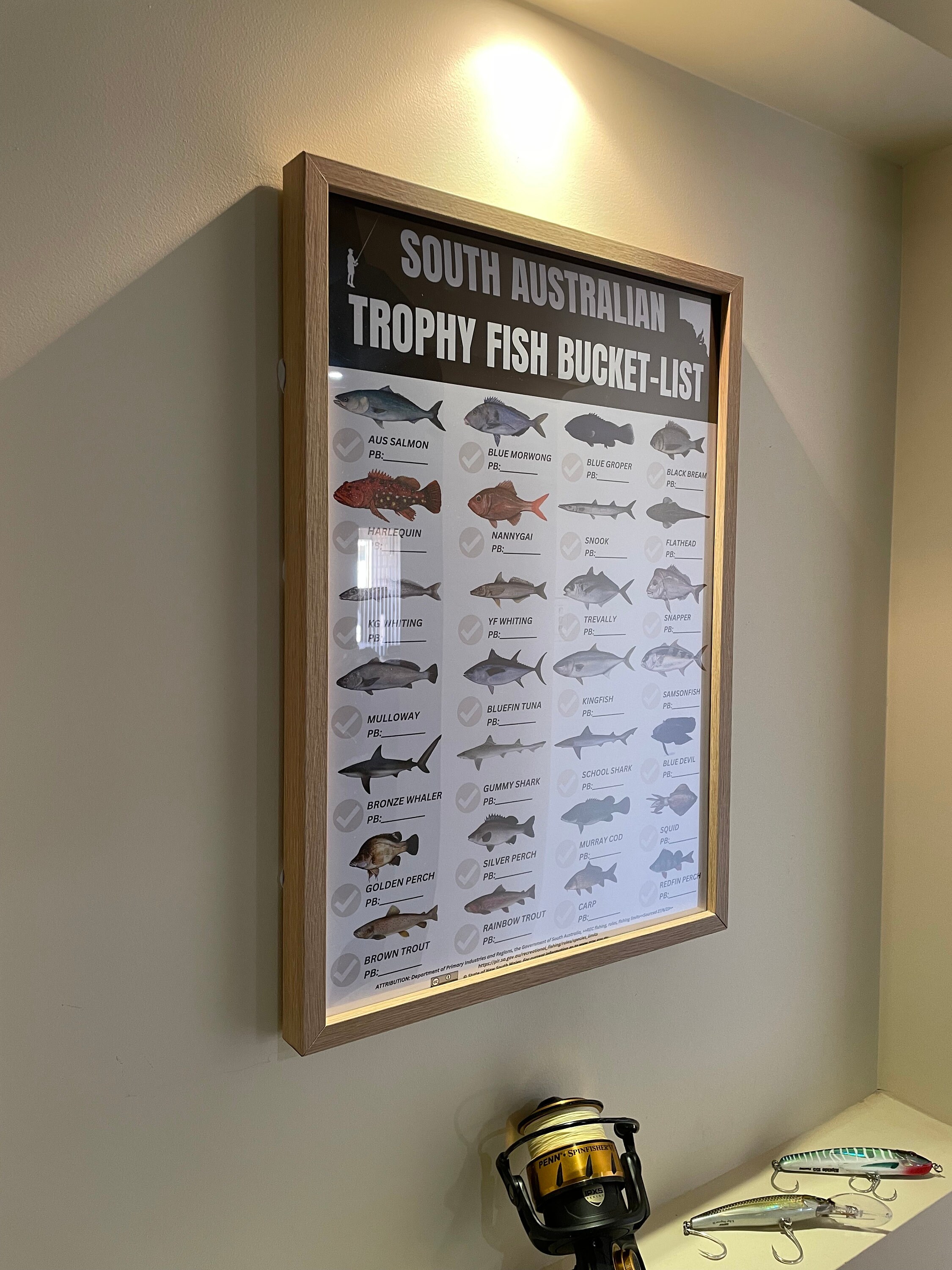 South Australian Trophy Fish Bucket List Framed Poster - Etsy Australia