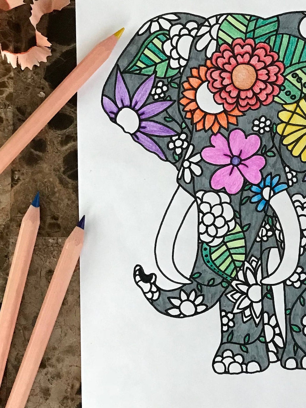 Elephant Printable Adult Coloring Page - Etsy