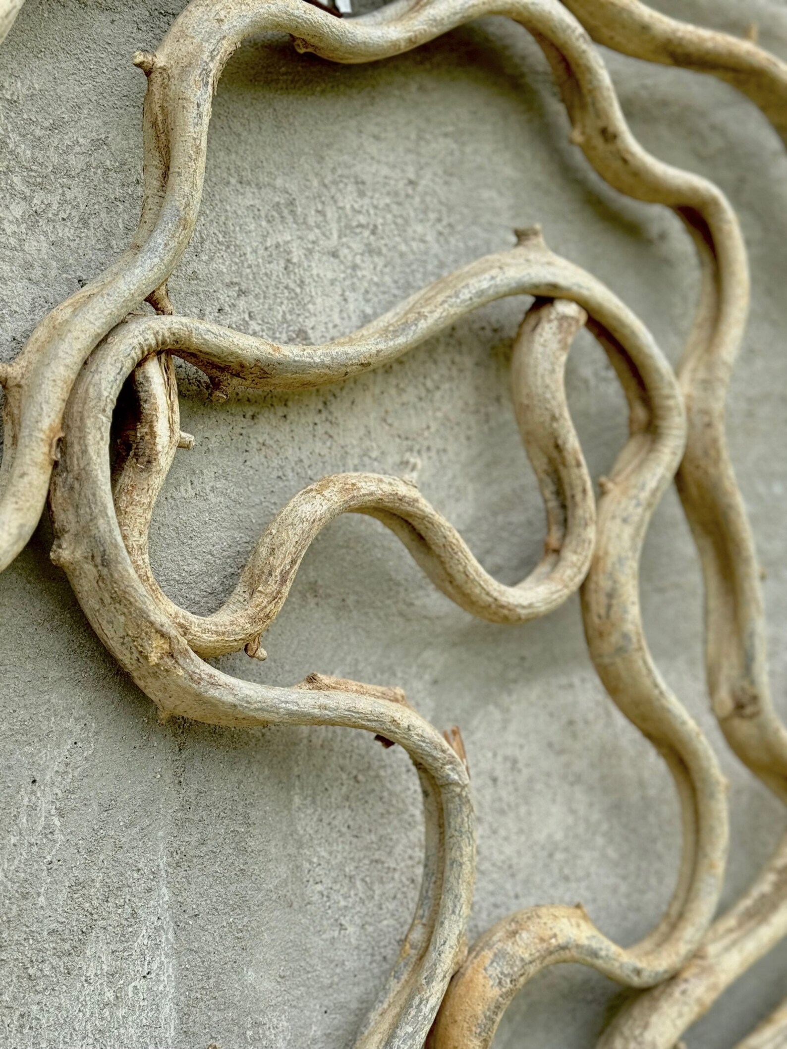 Vine Wall Decor 30" - Etsy