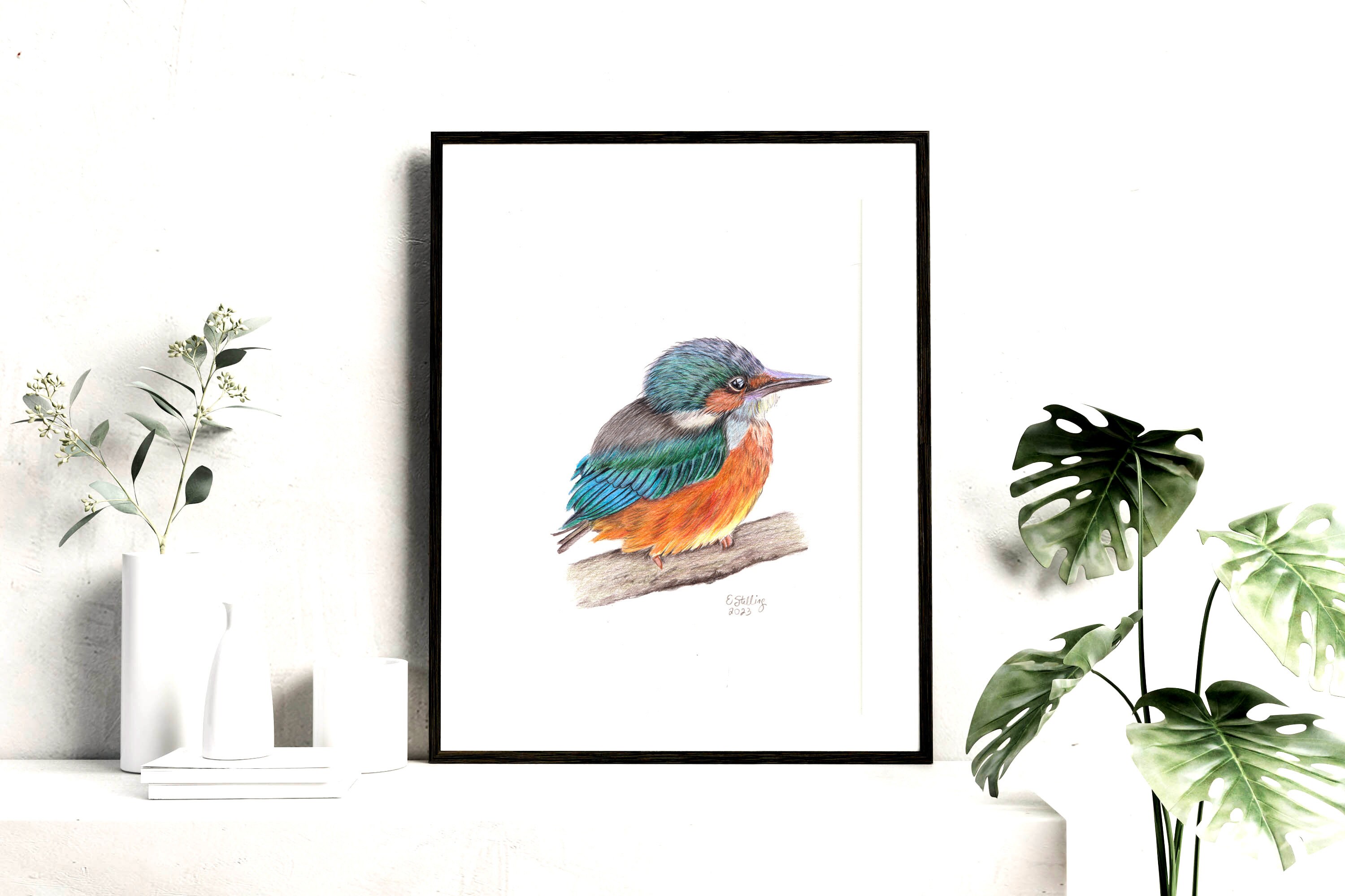 Kingfisher Coloured Pencil Original Drawing 9x 12 - Etsy