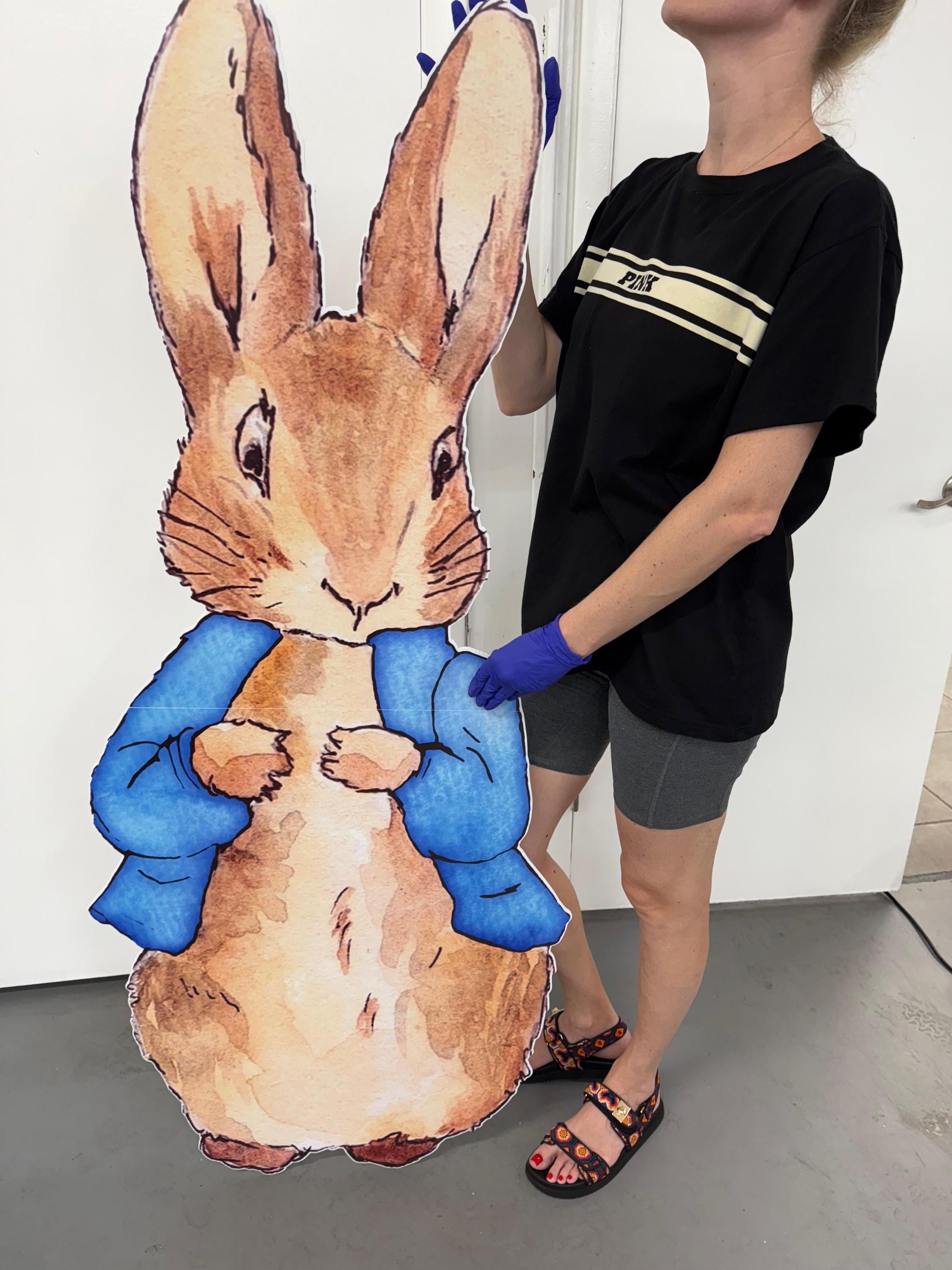 Peter Rabbit Cutout Decoration, Rabbit Baby Shower Decor, Backdrop ...