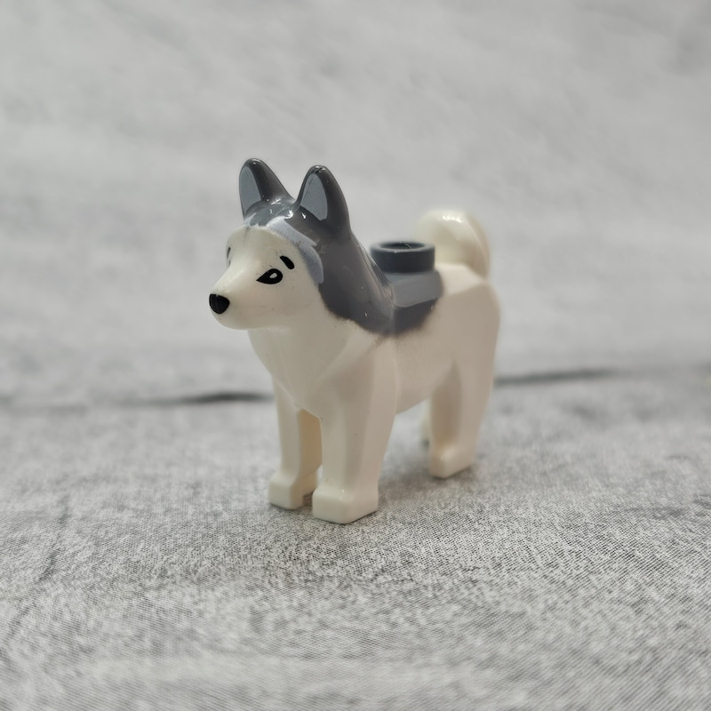 Customized Dog Legos - Etsy