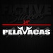 Pelavacas Logo Chalino Sanchez Corridos Sticker 14x2" - Etsy