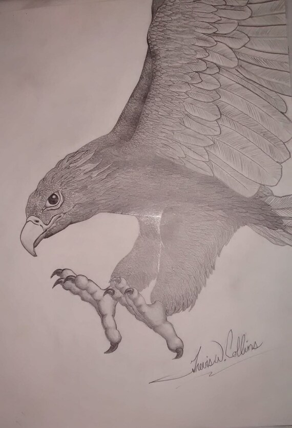 Absolutely Fabulous Pencil Sketch of an Eagle by Local Artist | Etsy