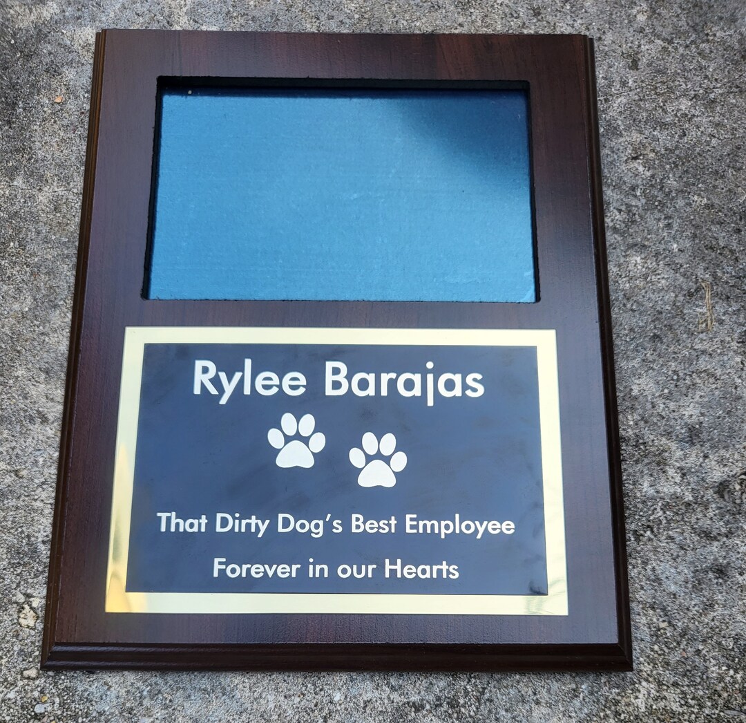 Custom Pet Employee of the Month Plaque, "chief Morale Officer" Award ...