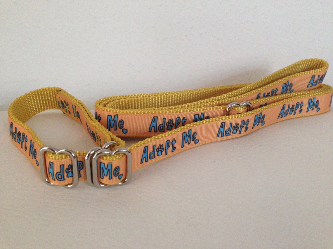 Irene's Special Small "adopt Me" Slip Leash, Convertible Slip Harness ...