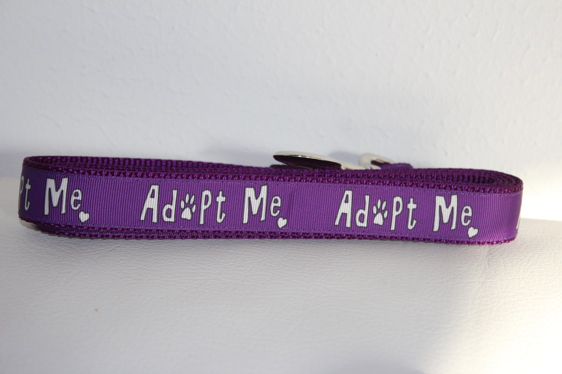 Irene's Special "adopt Me" Leash, 6 Ft Leash, for Rescue, Shelter and ...