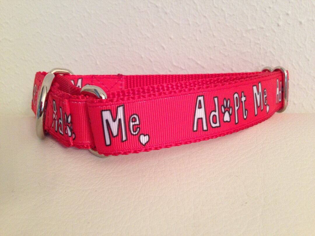 Irene's Special "adopt Me" Collar, Medium Martingale Collar, for Rescue ...