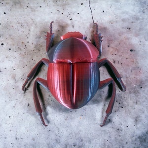 Dung Beetle Cute Bug 3D Printed Toy, Bugs Office Desk Toy, Unique ...