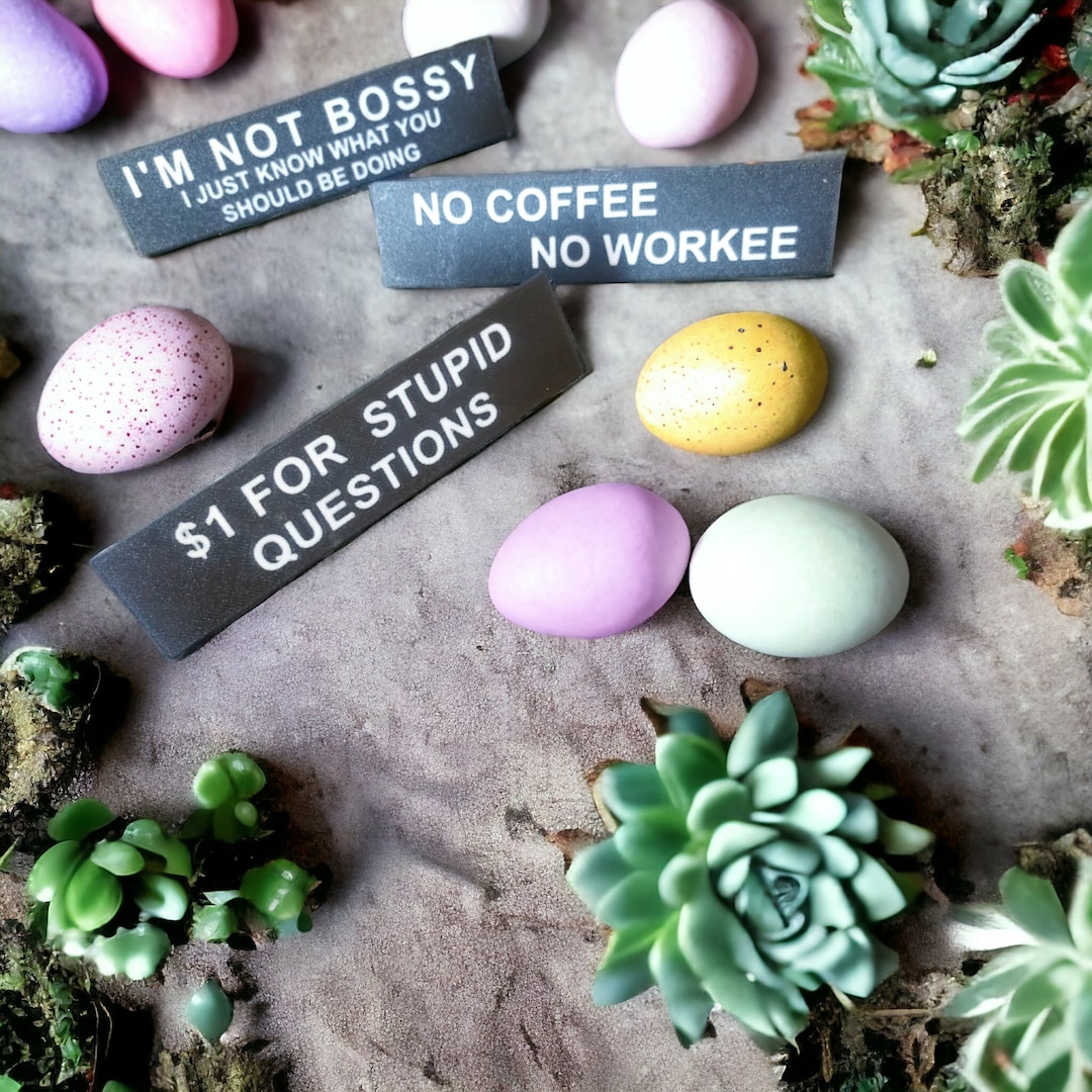 Funny Desk Plate Office Decor, Desk Decor Office, Funny Desk Name Plate ...