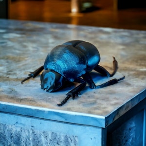 Dung Beetle Cute Bug 3D Printed Toy, Bugs Office Desk Toy, Unique ...