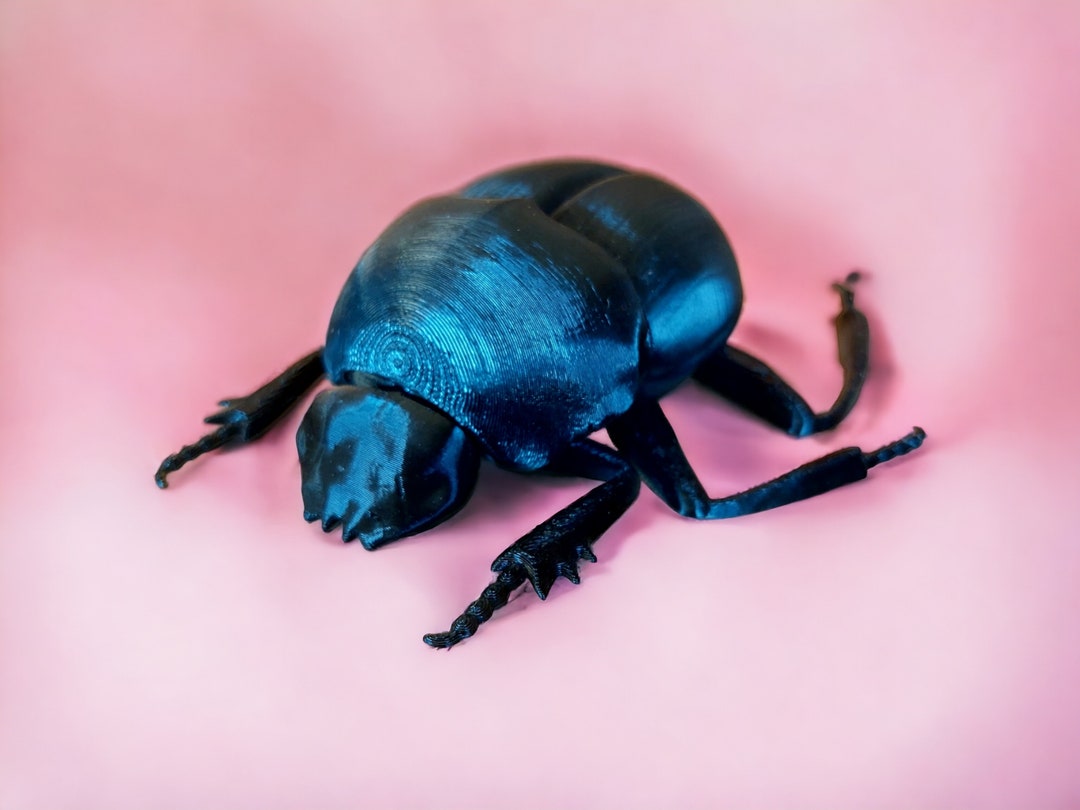 Dung Beetle Cute Bug 3D Printed Toy, Bugs Office Desk Toy, Unique ...