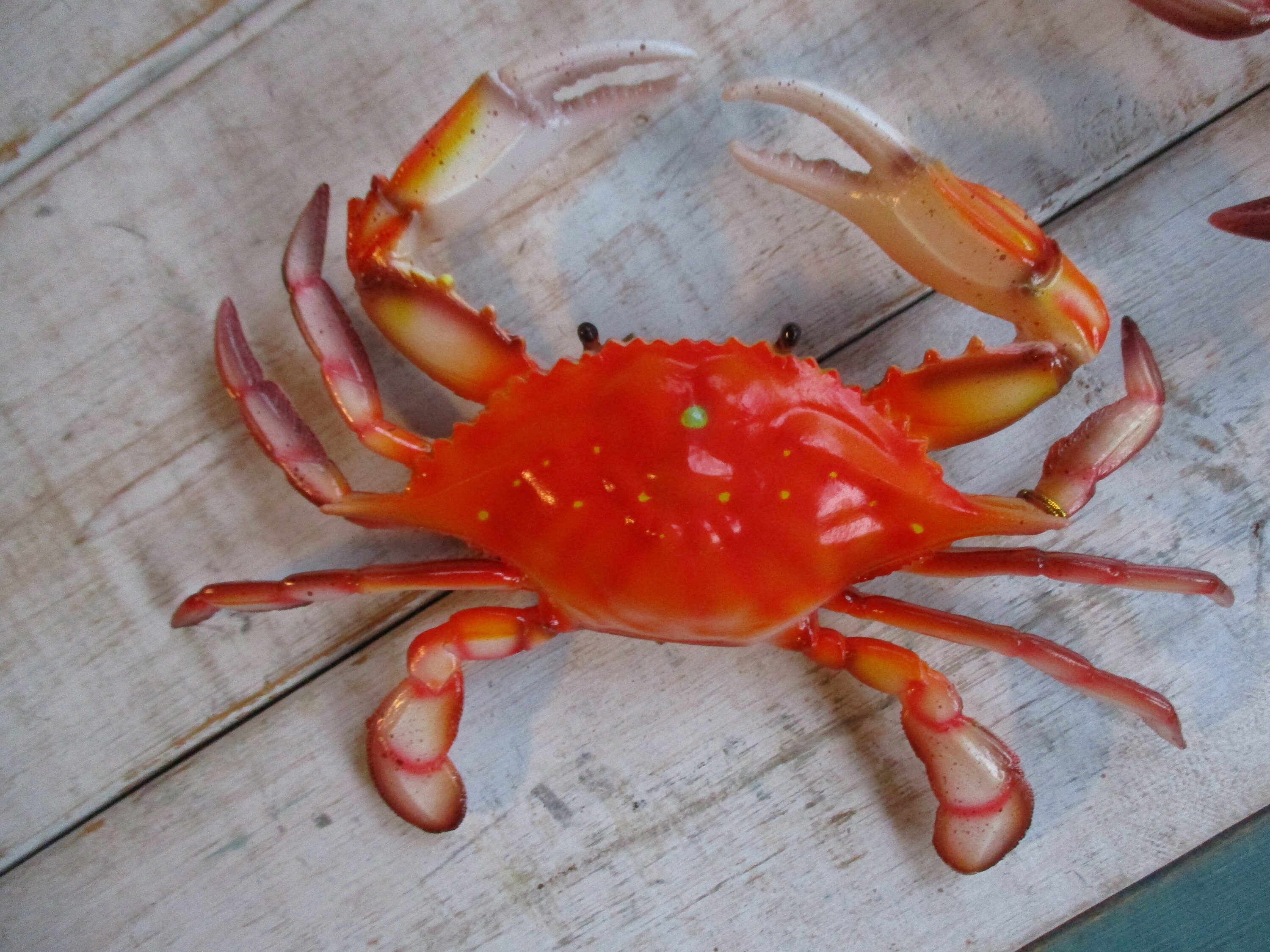 Red Crab Steamed Crab Decor CHOOSE Lg 17 Med - Etsy