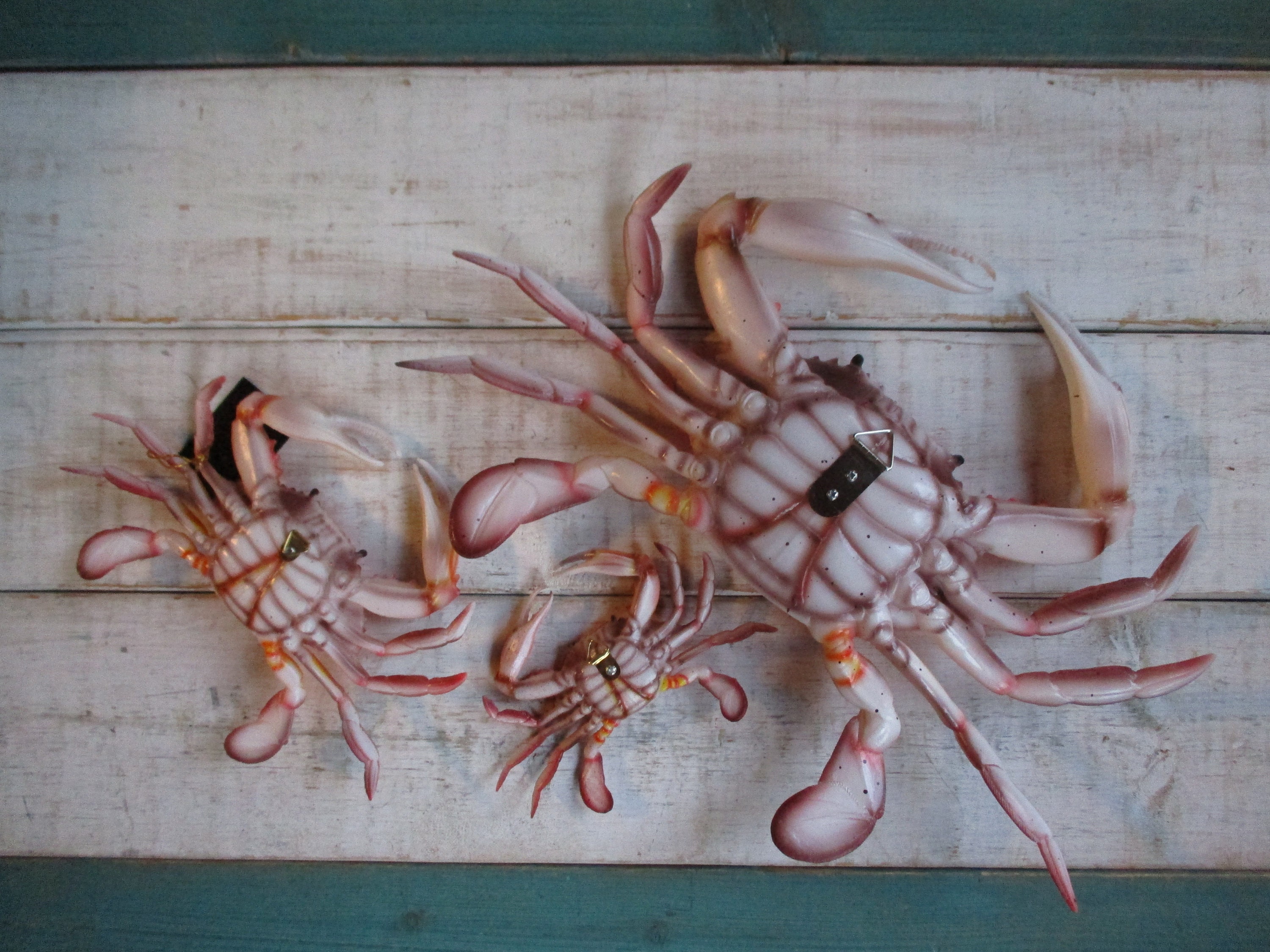 Red Crab Steamed Crab Decor *CHOOSE Lg 17", Med 9.25", or Sm 6" Coastal ...
