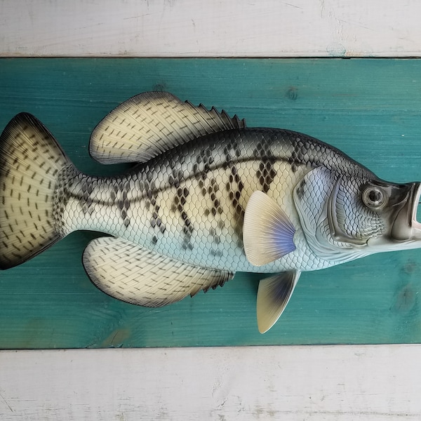 Singing Wall Fish - Etsy