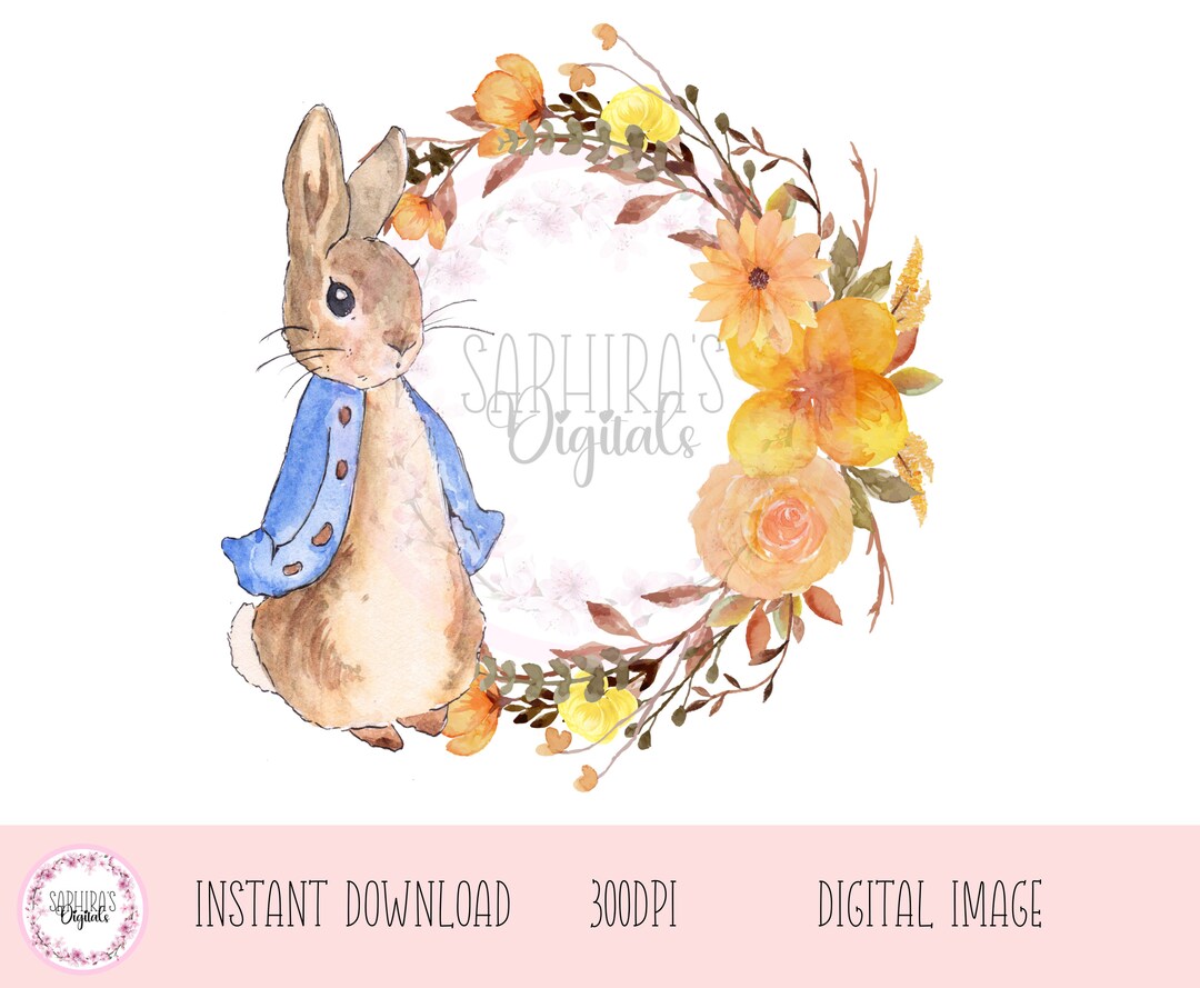 Blank Add Your Own Letters Peter Rabbit, Flopsy Bunny PNG, Animal ...