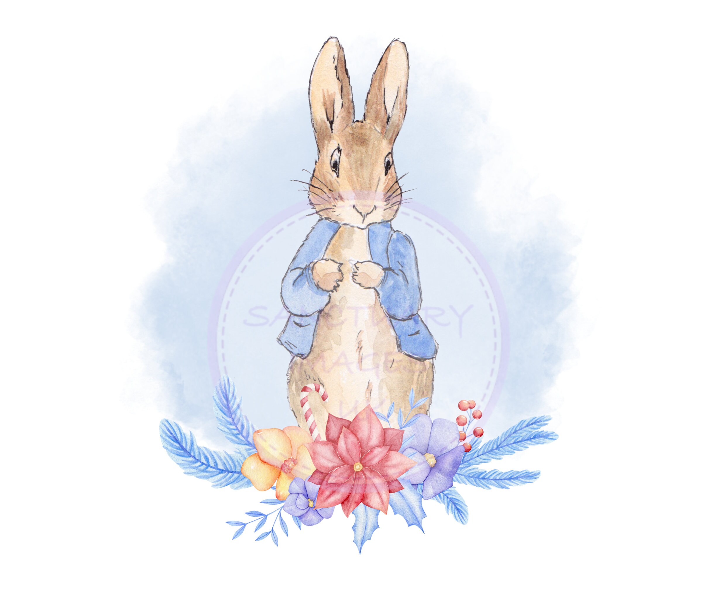 Peter Rabbit PNG, Animal Sublimation Design, Peter Rabbit PNG, Instant ...
