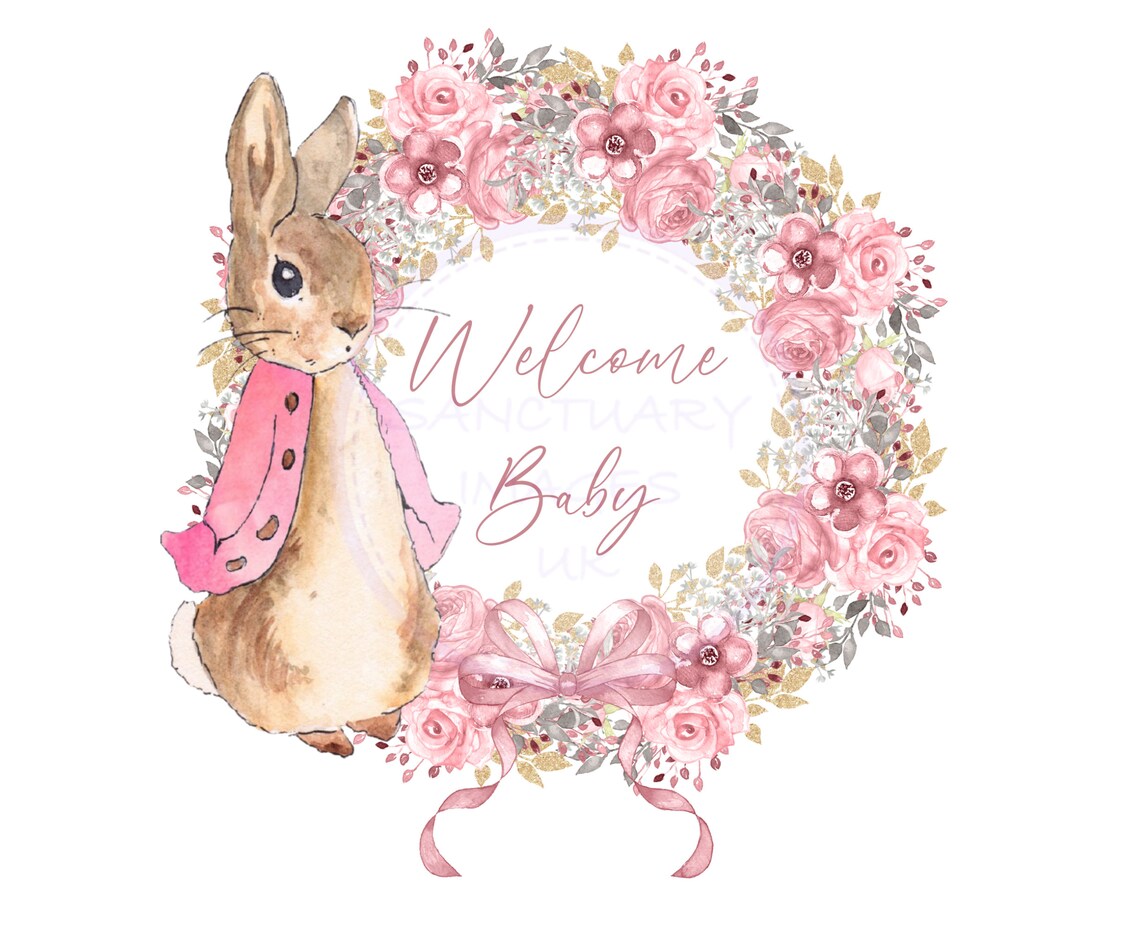 Peter Rabbit Flopsy Bunny PNG Animal Sublimation Design - Etsy UK