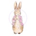 Flopsy Bunny PNG, Animal Sublimation Design, Flopsy PNG, Instant ...