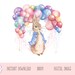 Peter Rabbit PNG and JPG, Rabbit Sublimation Design, Transparent PNG ...