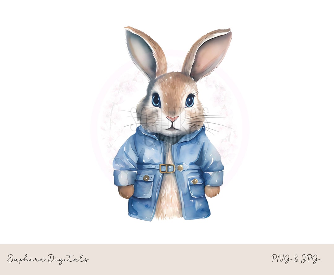 Watercolour Peter Rabbit Style 10 X 10 White Background JPEG and ...