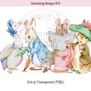 Set of 4 Peter Rabbit PNG, Animal Sublimation Design, Peter Rabbit PNG ...