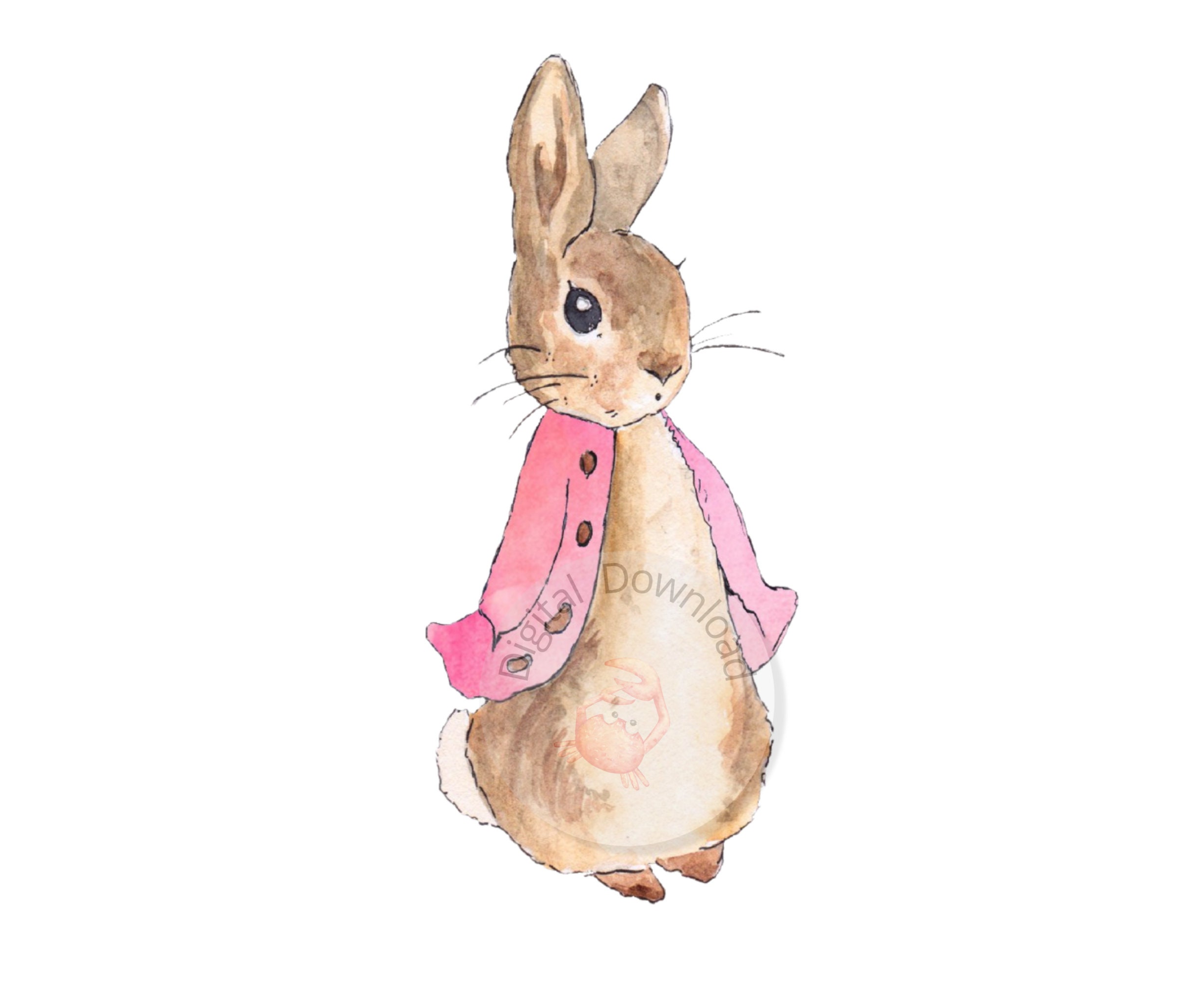 Flopsy Bunny PNG Animal Sublimation Design Flopsy PNG - Etsy