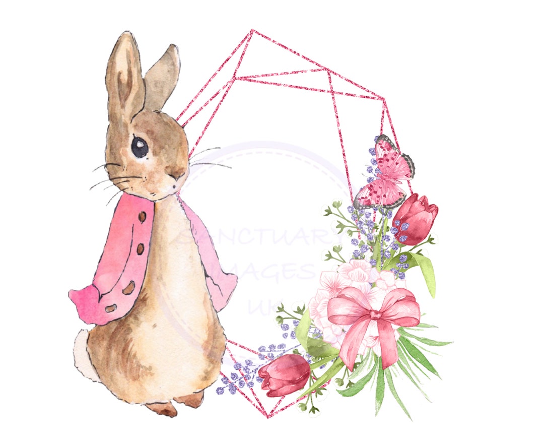 Flopsy Bunny and Peter Rabbit PNG, Animal Sublimation Design, Peter ...