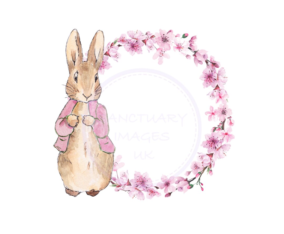Peter Rabbit, Flopsy Bunny PNG, Animal Sublimation Design, Flopsy PNG ...