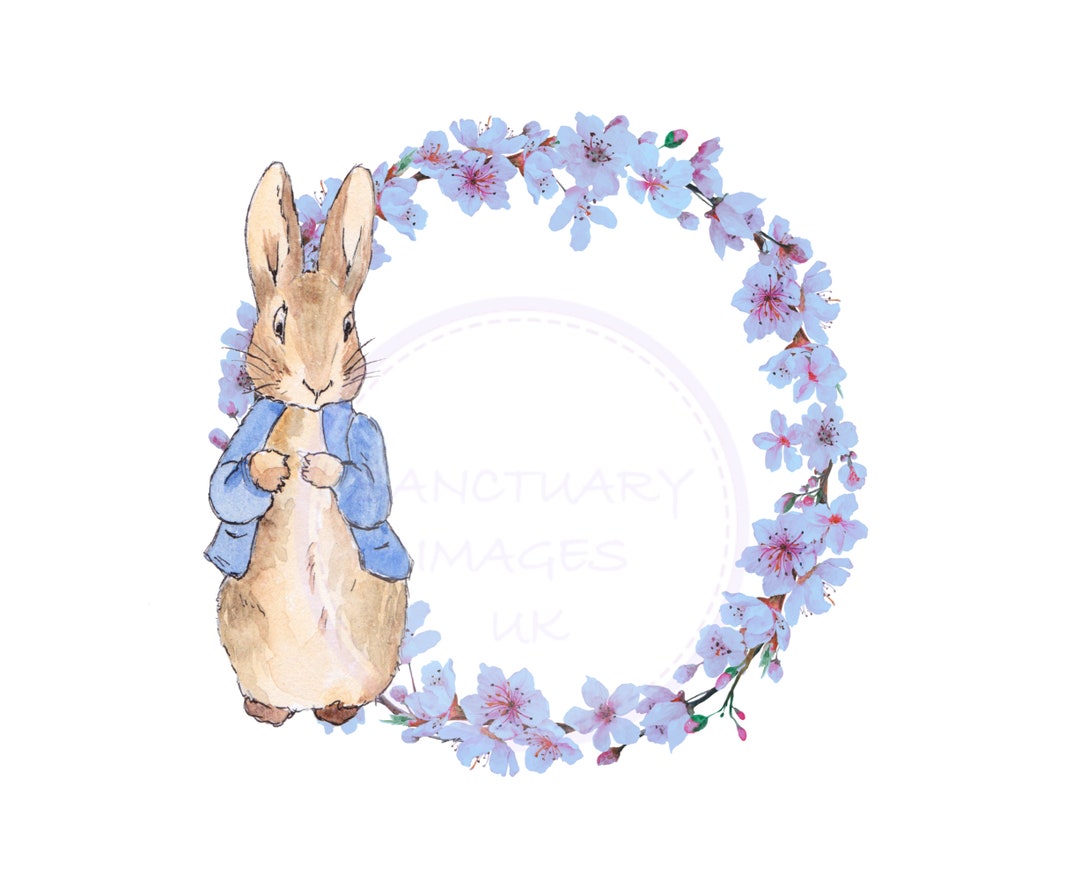 Peter Rabbit, Flopsy Bunny PNG, Animal Sublimation Design, Flopsy PNG ...