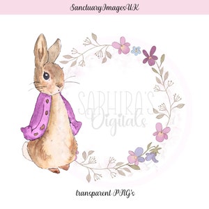 Blank Add Your Own Letters Peter Rabbit, Flopsy Bunny PNG, Animal ...