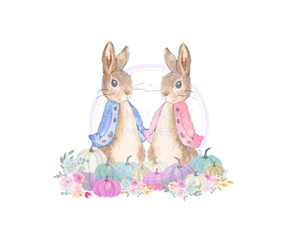 Peter Rabbit Flopsy Bunny PNG Animal Sublimation Design - Etsy
