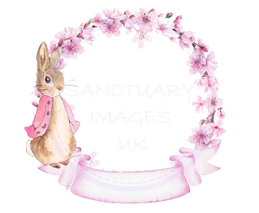 Blank Add Your Own Letters Peter Rabbit, Flopsy Bunny PNG, Animal ...
