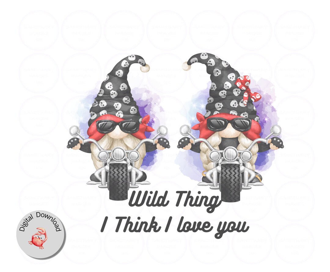 Wild Thing Gnomes PNG, Gnome Sublimation Design, Wild Things Biker ...