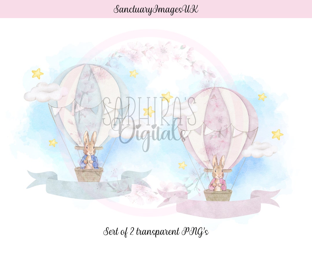 Set of 2 Peter Rabbit, Flopsy Bunny Easter PNG, Animal Sublimation ...